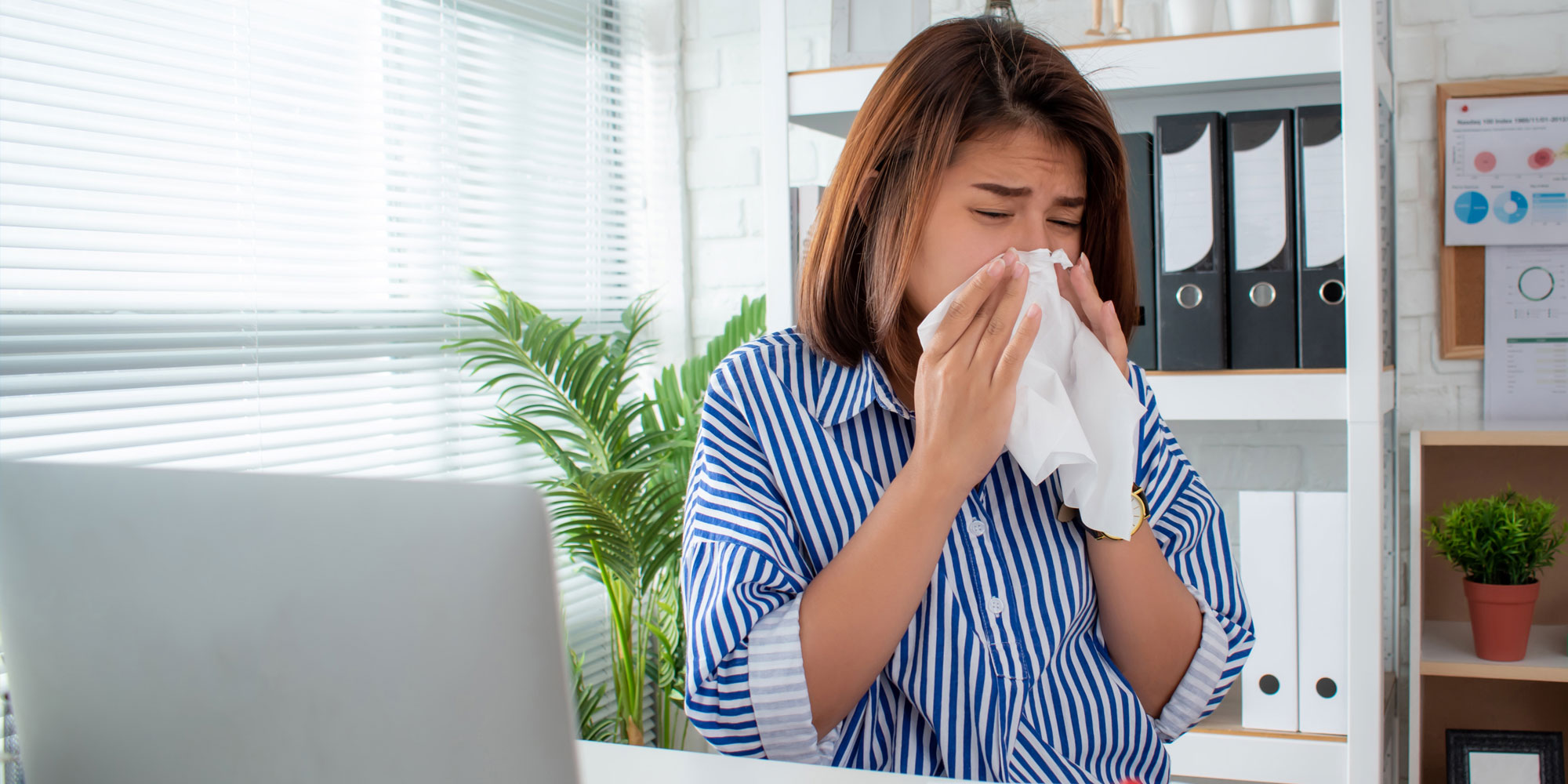 In a Post-COVID World, the Link Between Carpets and Indoor Air Quality ...